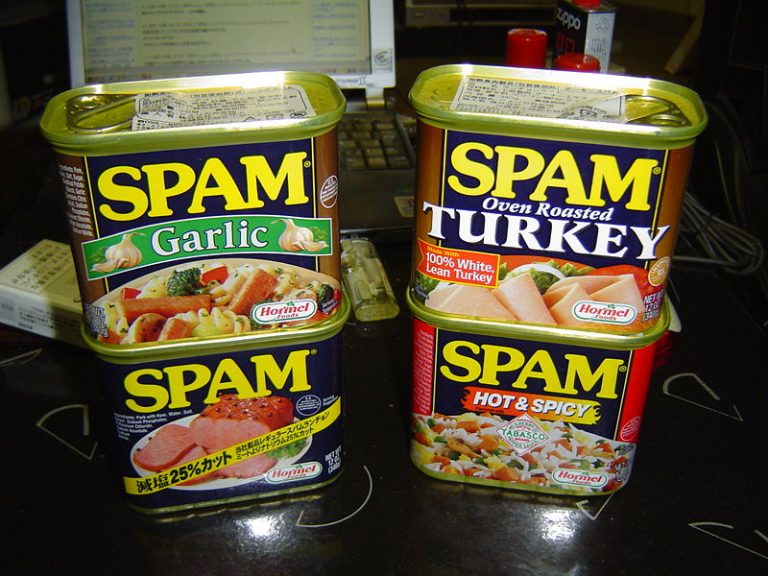 Types of Spam | Digital Marketing Mastery